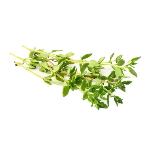 Thyme Leaves – Just Fresh UAE – Buy Fresh Fruits & Vegetables Online in UAE